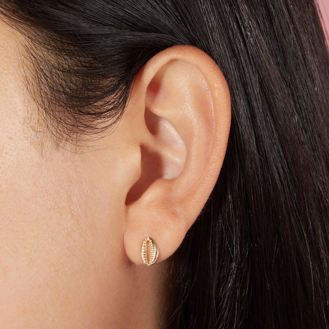 Cowrie Shell Studs – STONE AND STRAND
